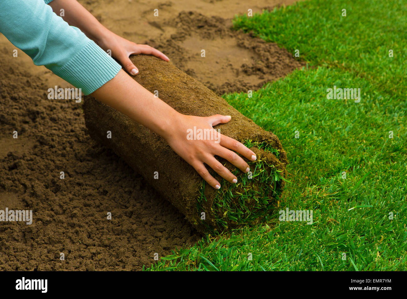 Woman applying turf rolls in the backyard Stock Photo - Alamy