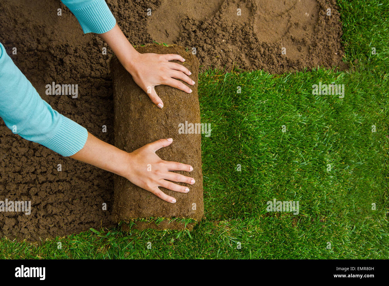 Installing grass rolls hi-res stock photography and images - Alamy