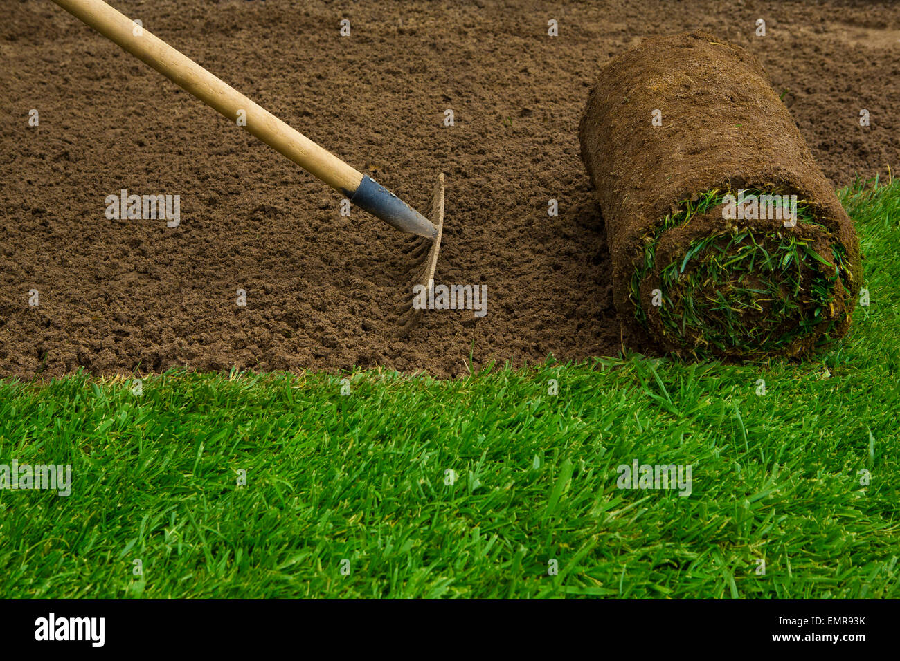 Gardener applying turf rolls in the backyard Stock Photo - Alamy