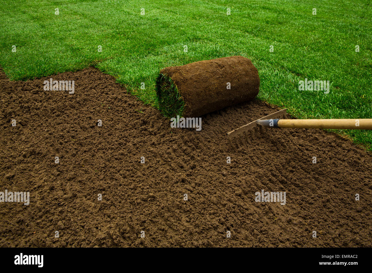 Installing grass rolls hi-res stock photography and images - Alamy
