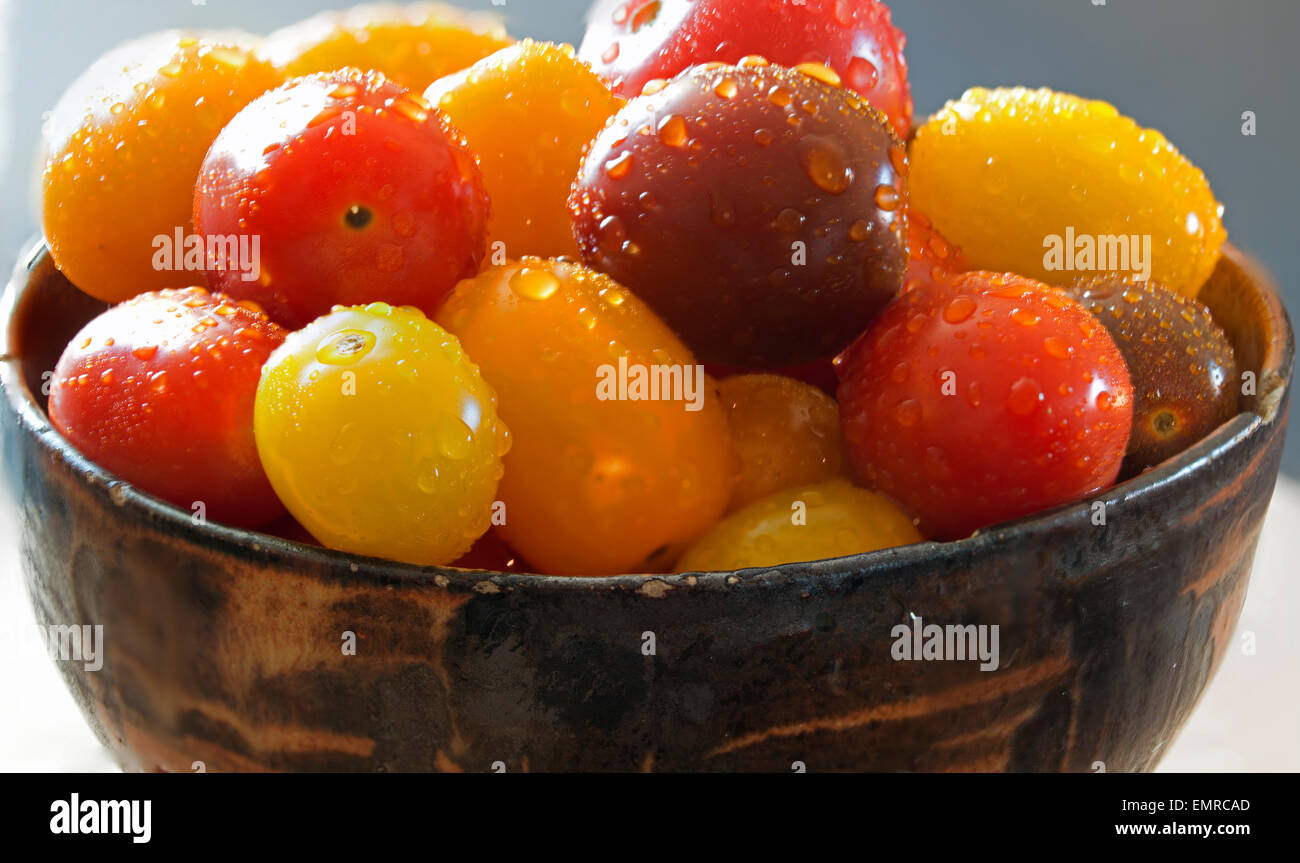 The berry tomato is regarded as a botanical variety of the cultivated ...