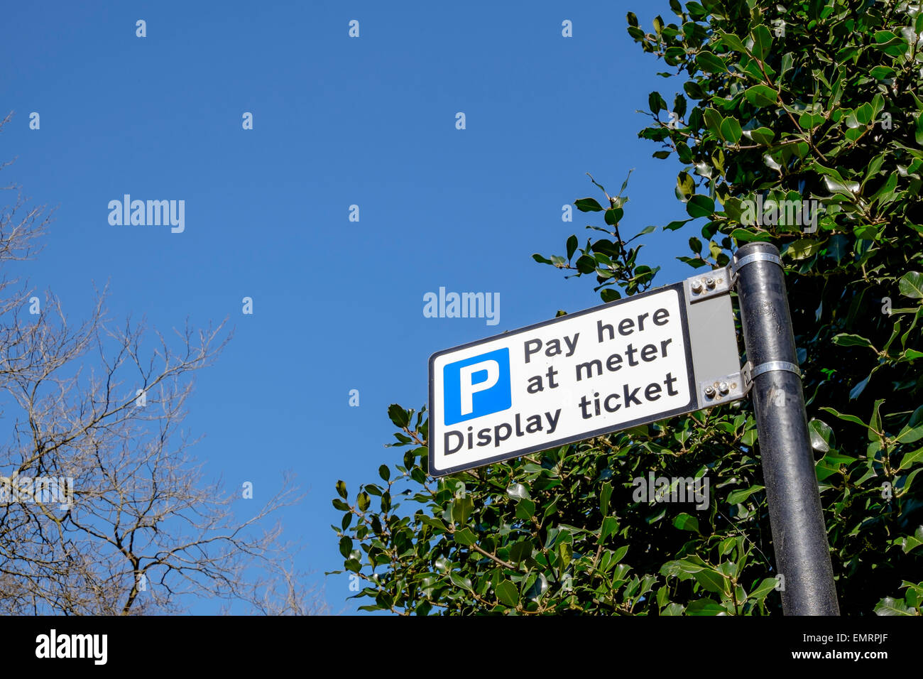 Pay here at meter parking sign with blue sky and green tree in ...