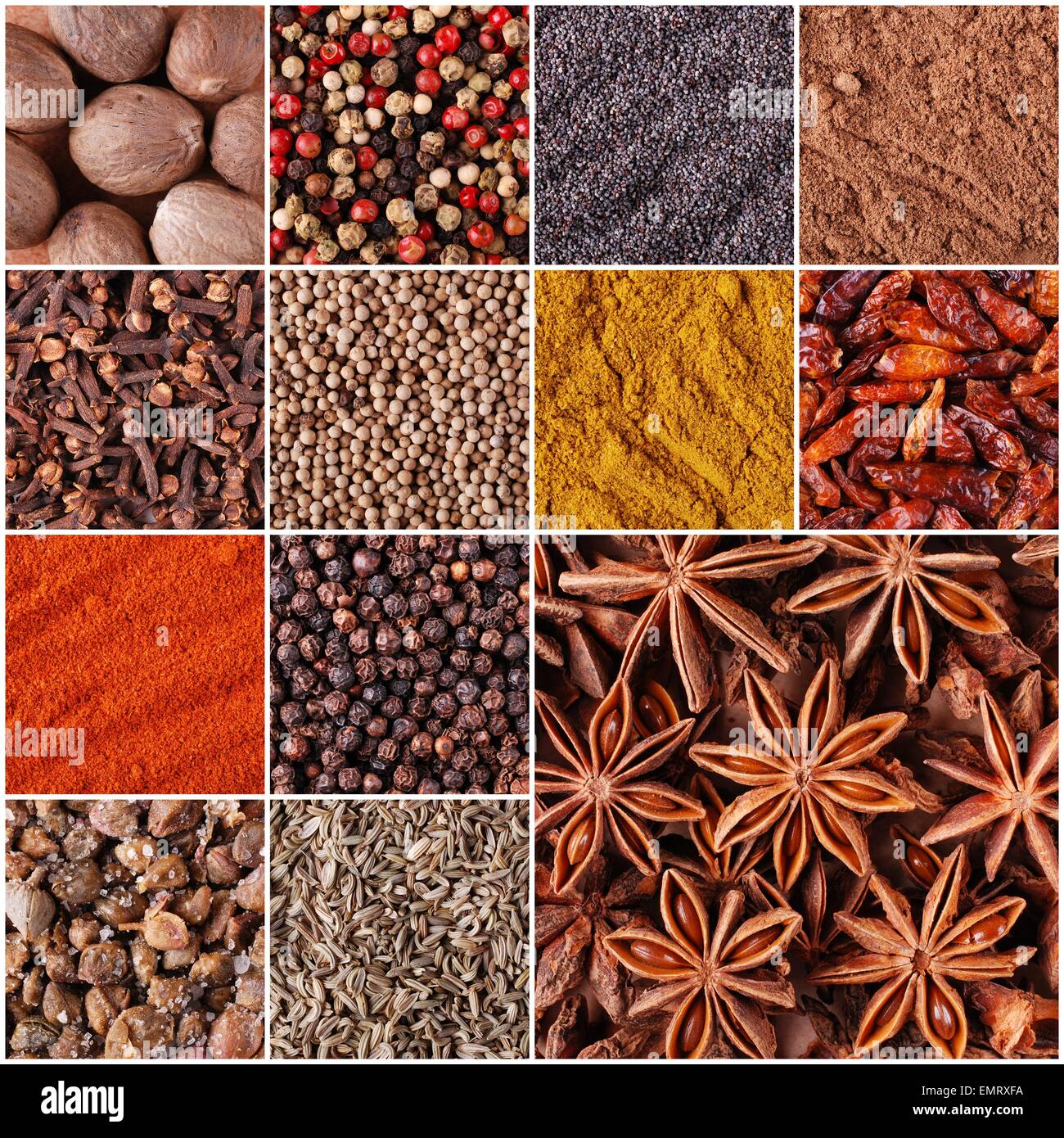 spices and herbs, collage composed of thirteen photographs Stock Photo ...