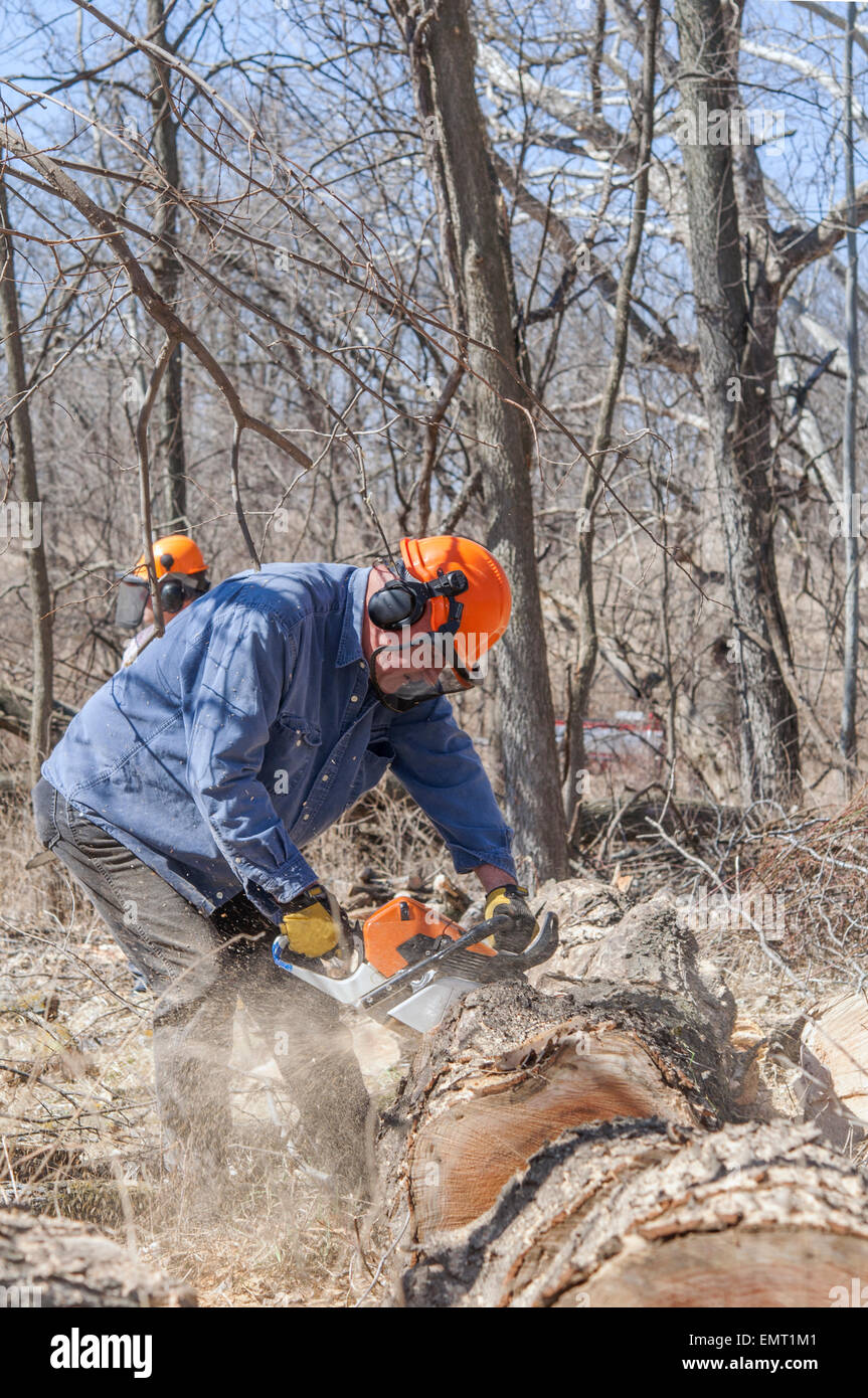 Chainsaw hi-res stock photography and images - Alamy