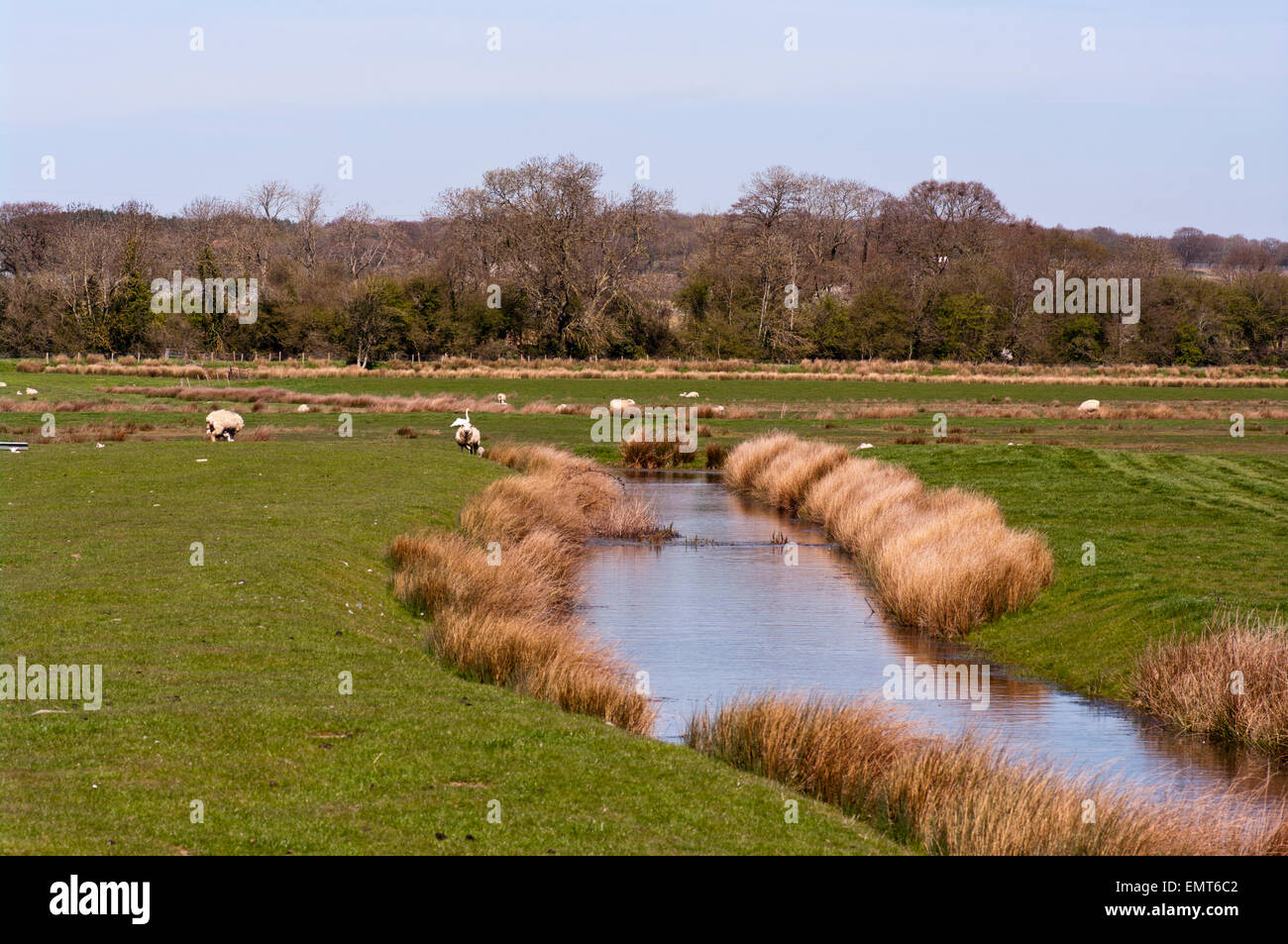 Marsh kent hi-res stock photography and images - Alamy