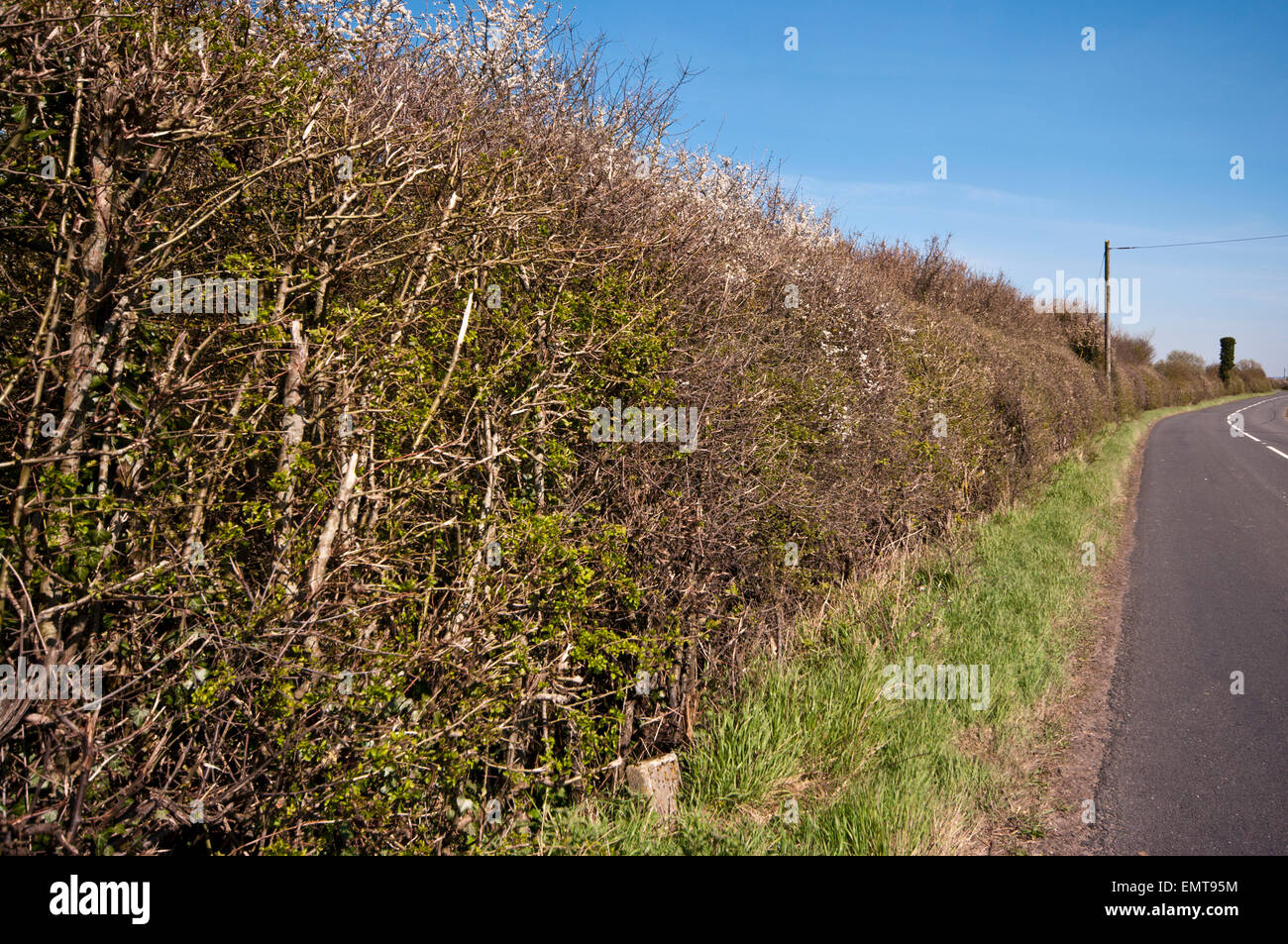 English roadside hi-res stock photography and images - Alamy