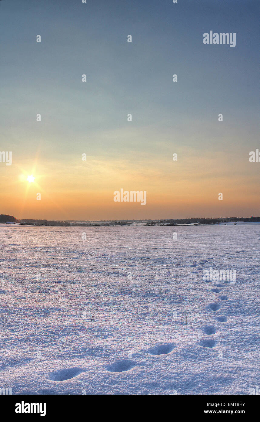 Footsteps snow hi-res stock photography and images - Alamy