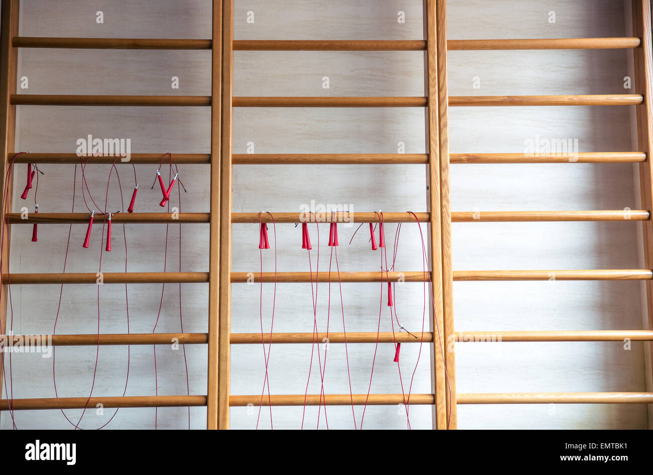 Closeup image of a jumping ropes on wall bars in gym Stock Photo - Alamy