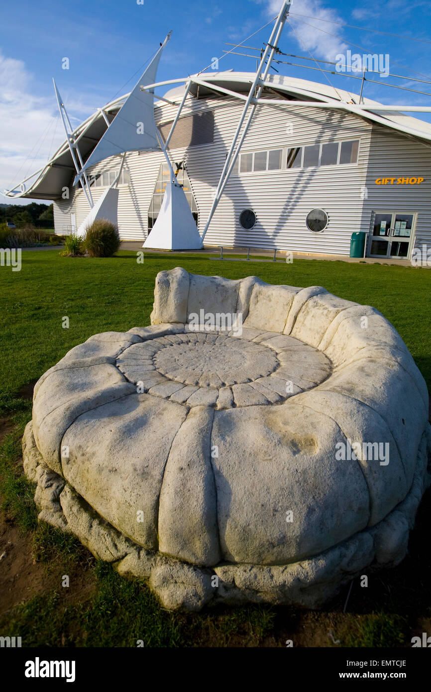 architecture building pterodactyl design Fossil, Seat, ammonite ...