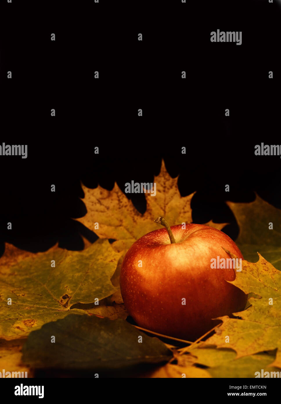 Red apple and maple leaves isolated on black background Stock Photo - Alamy