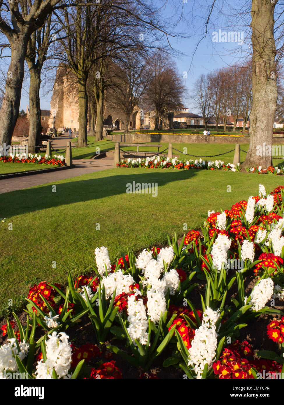 Spring Flowers at Knaresborough Castle Knaresborough North Yorkshire ...