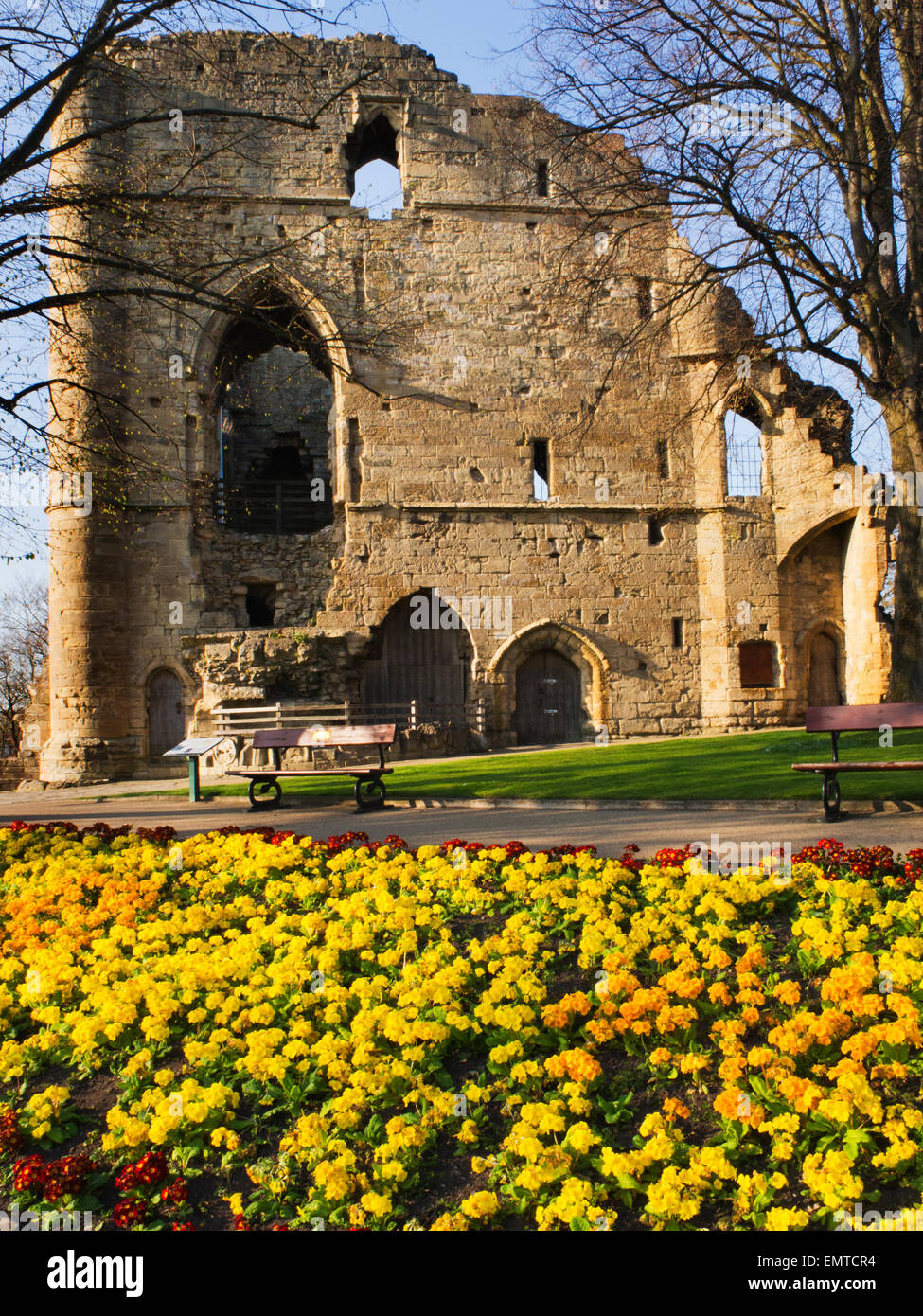 Spring Flowers at Knaresborough Castle Knaresborough North Yorkshire ...