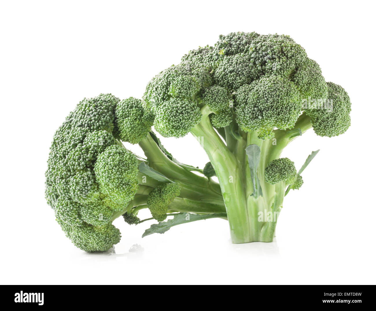 Broccoli isolated on white background Stock Photo - Alamy