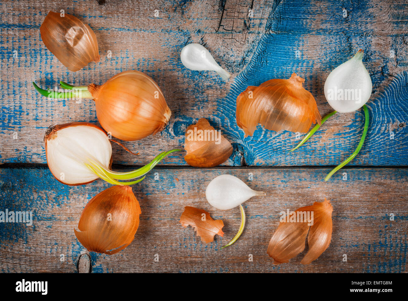 Three yellow onions hi-res stock photography and images - Alamy