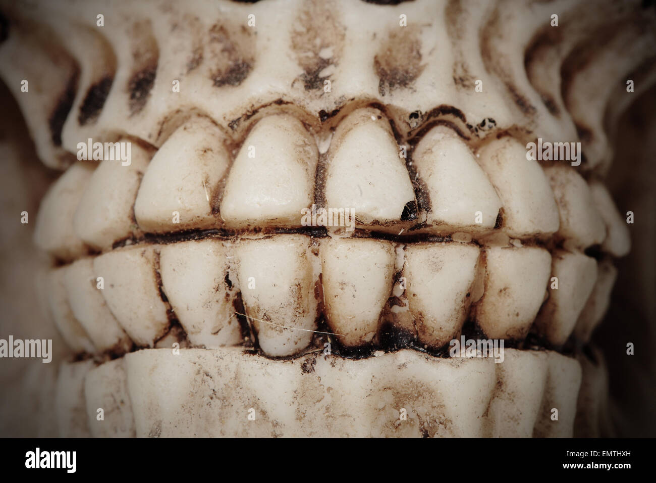 Dirty teeth hi-res stock photography and images - Alamy