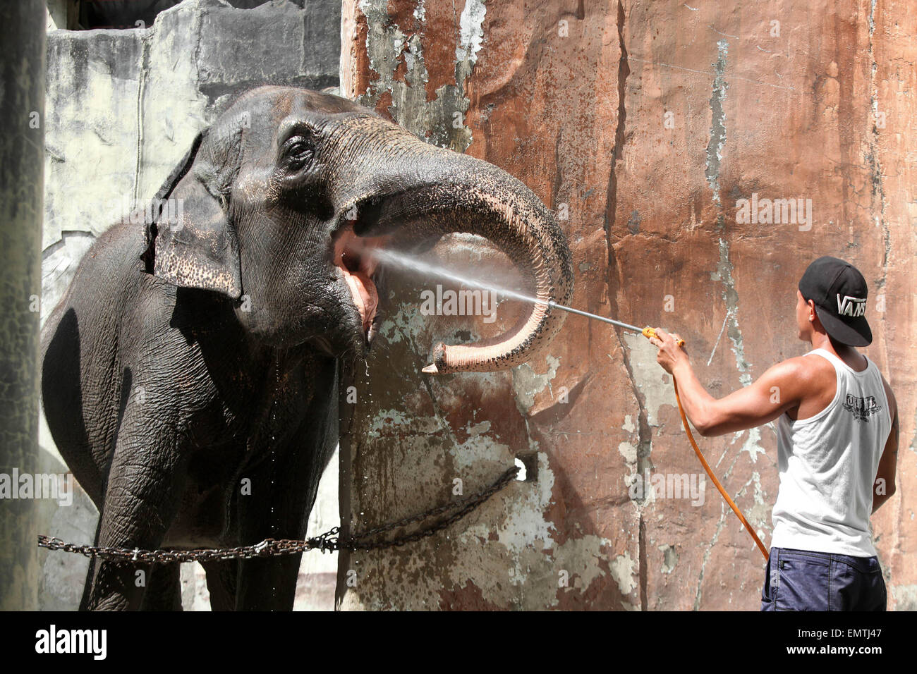 Manila zoo hi-res stock photography and images - Alamy