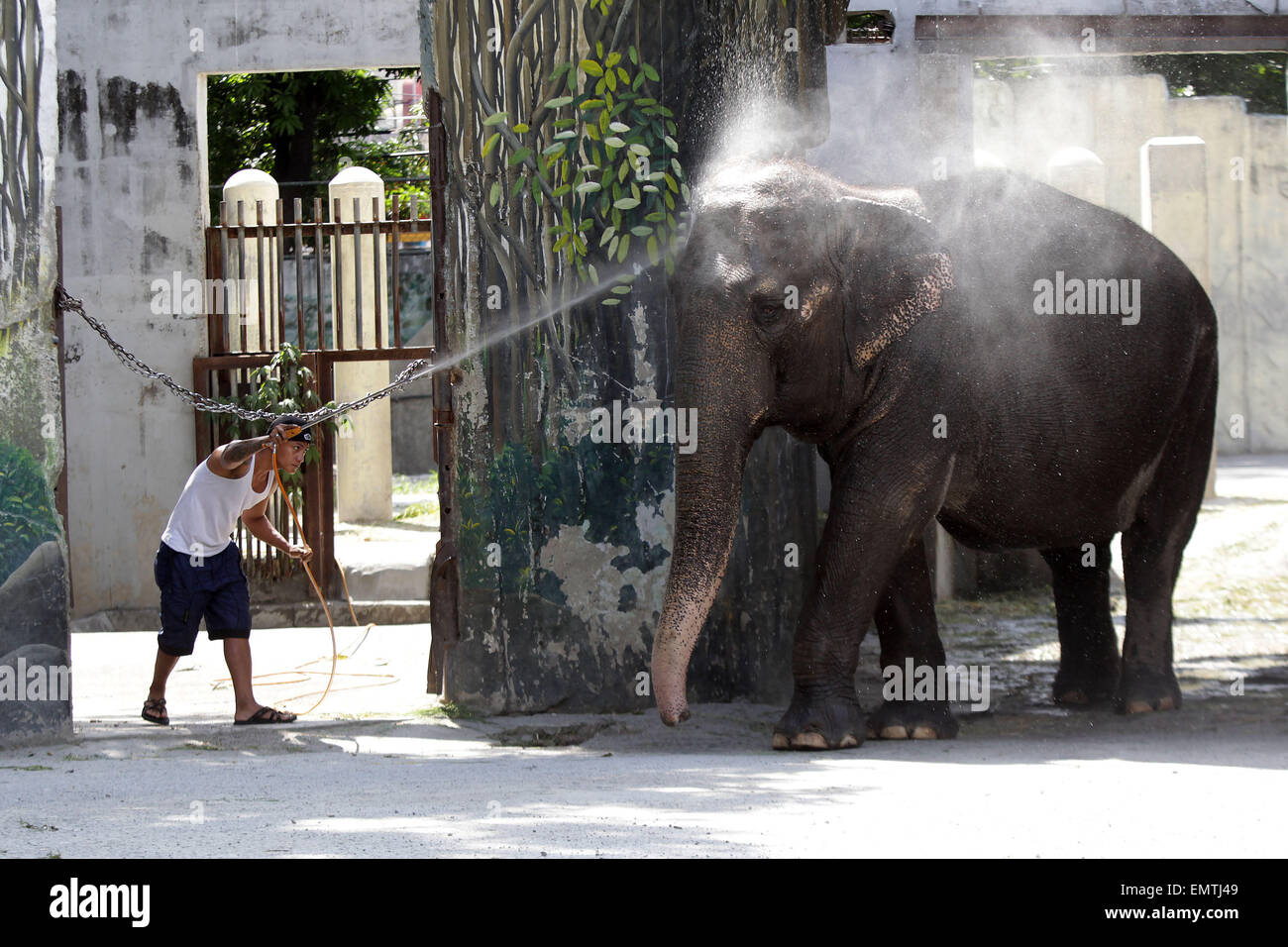 Manila zoo hi-res stock photography and images - Alamy