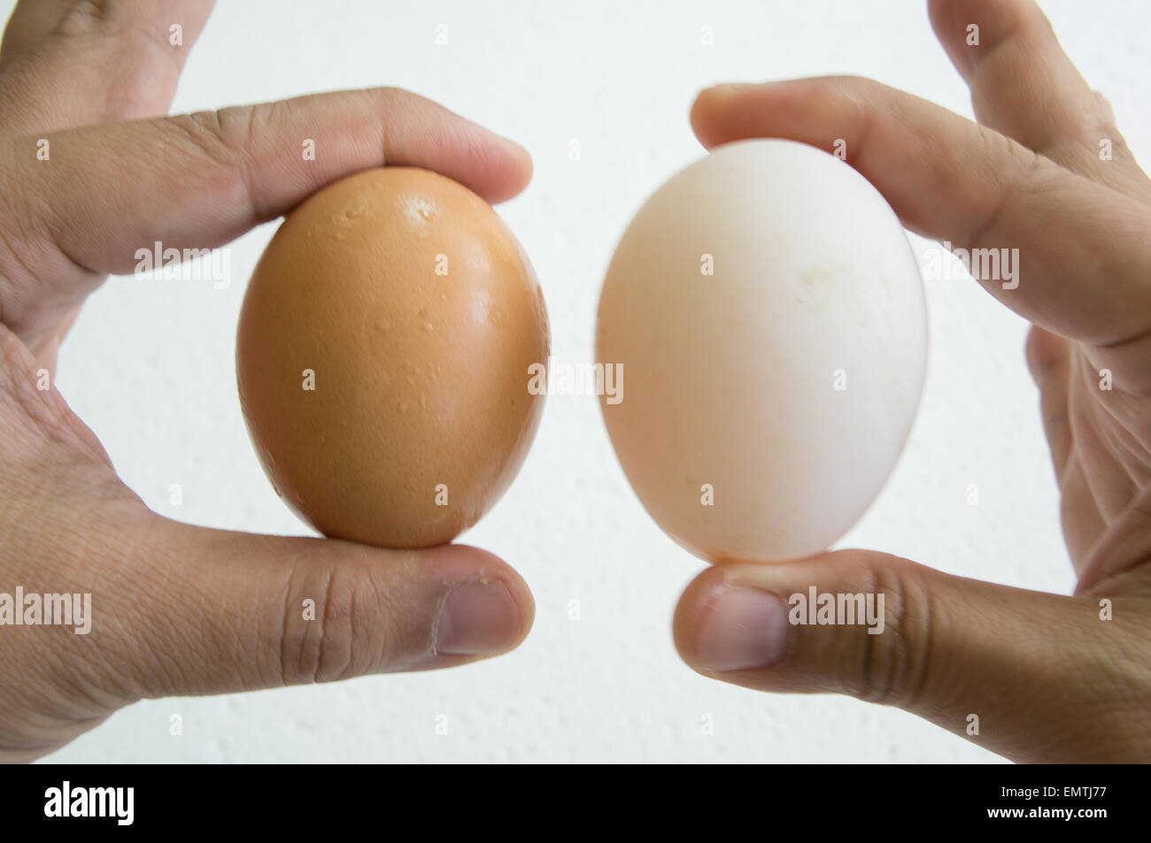 egg hand hold one human thumb index Stock Photo - Alamy