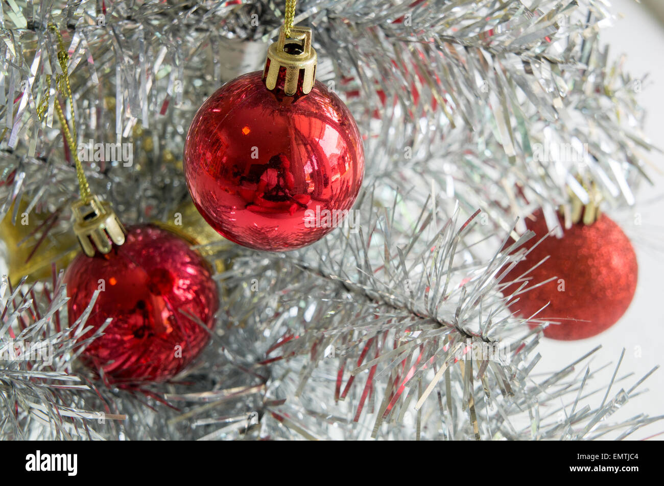 Tree part hi-res stock photography and images - Alamy