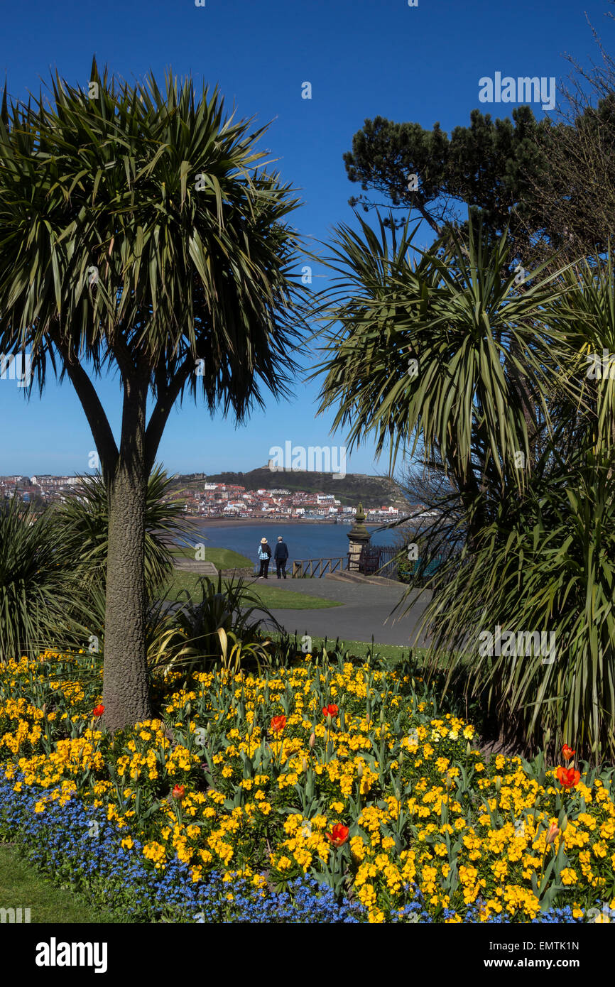 Scarborough castle flowers hi-res stock photography and images - Alamy