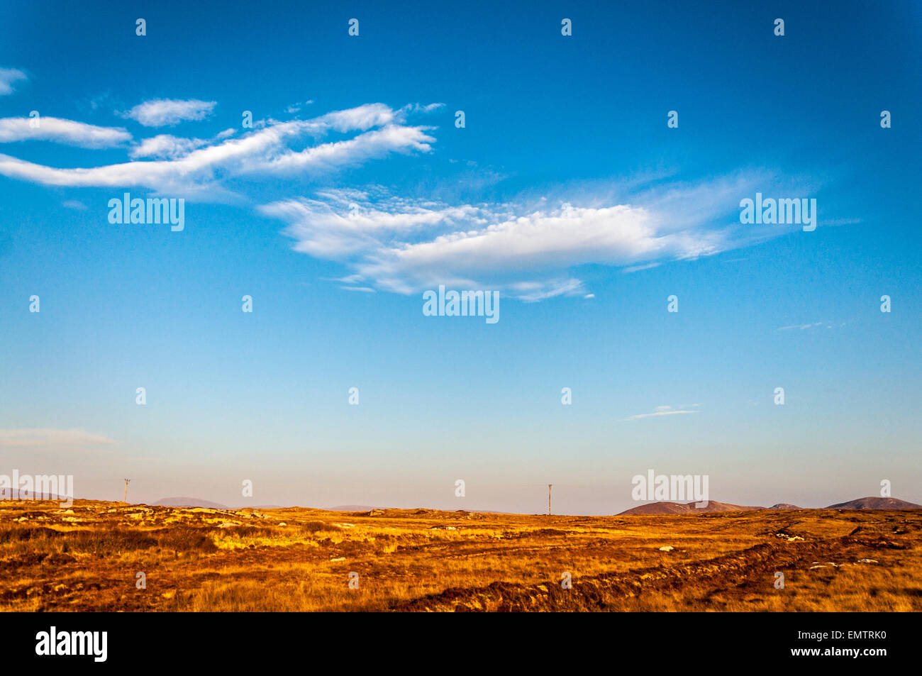 Bogs bog land hi-res stock photography and images - Alamy