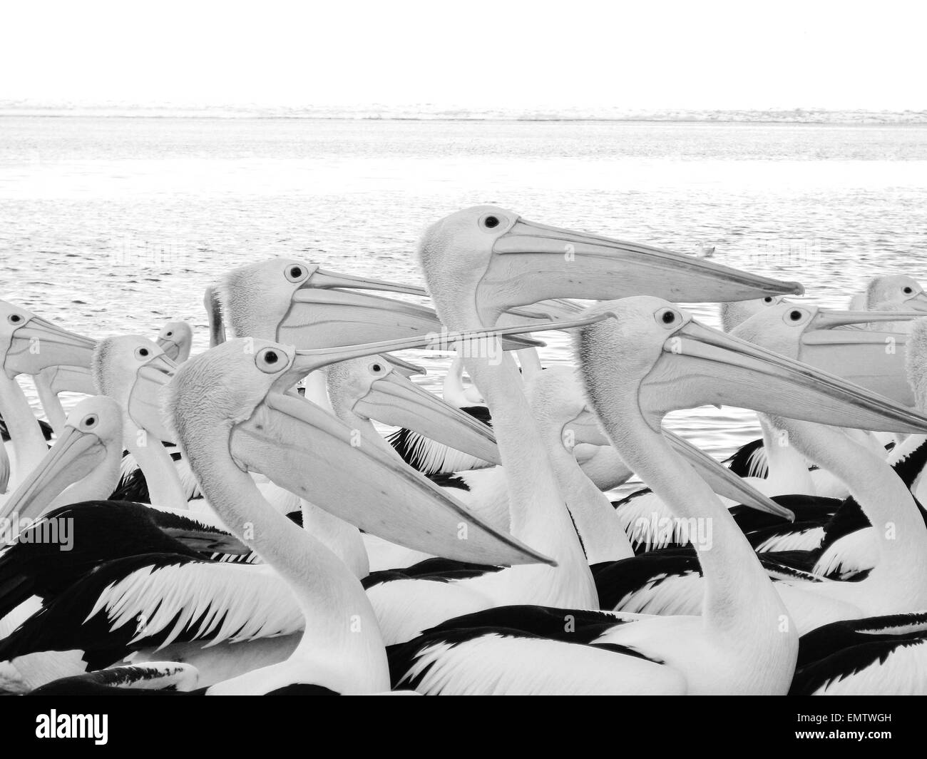 Toukley australia hi-res stock photography and images - Alamy