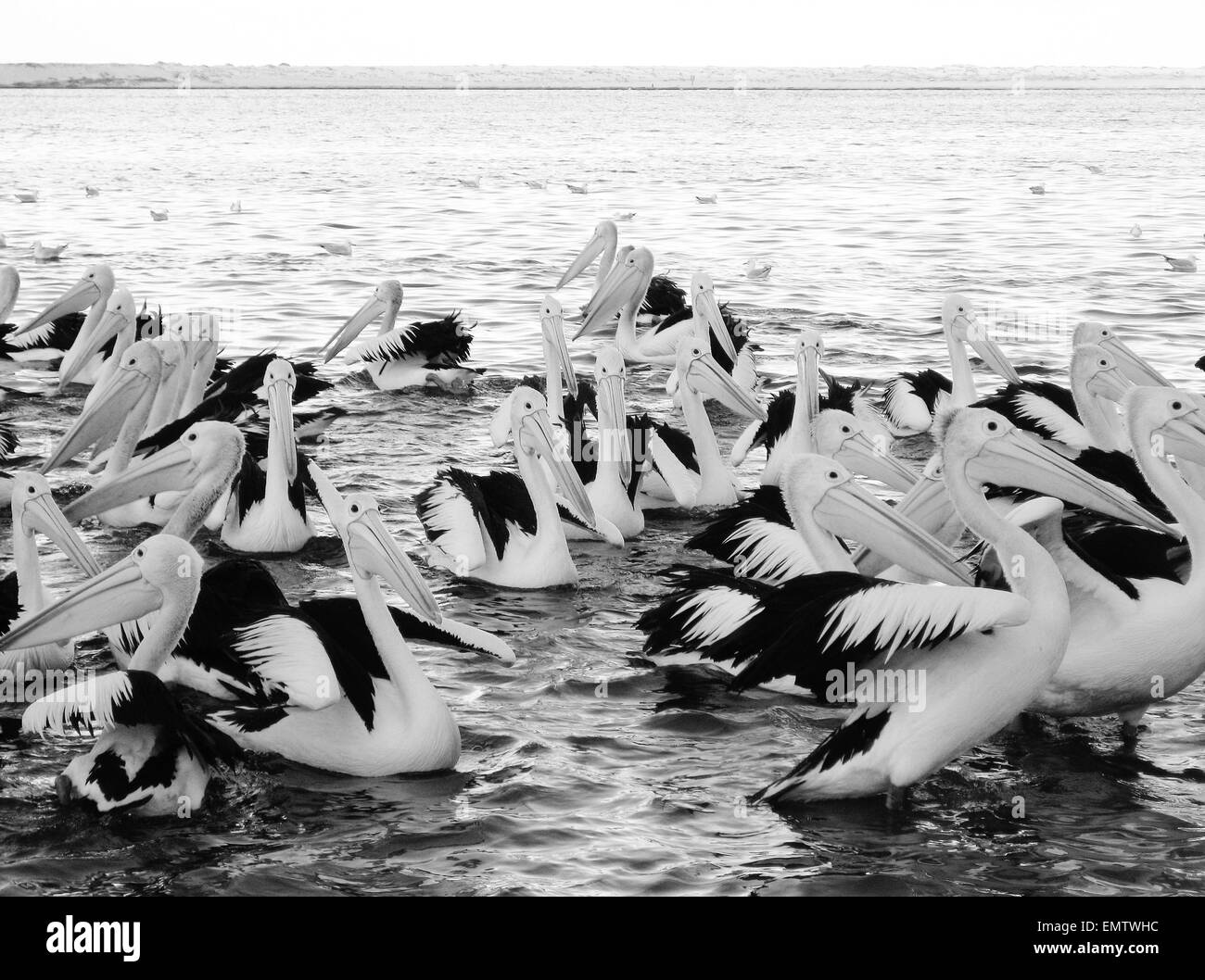 Toukley australia hi-res stock photography and images - Alamy