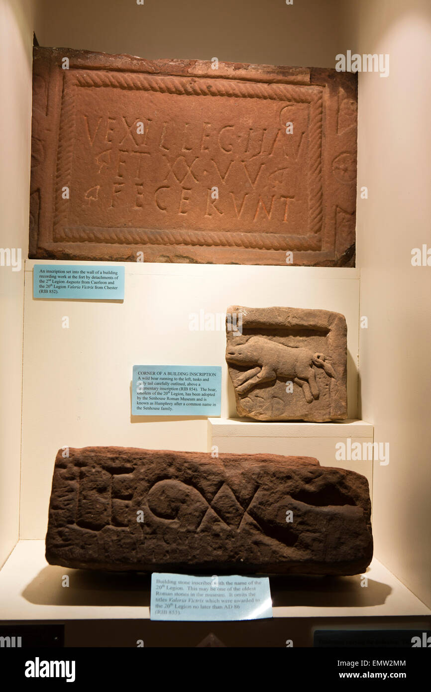 UK, Cumbria, Maryport, Senhouse Roman Museum, exhibit of inscribed ...