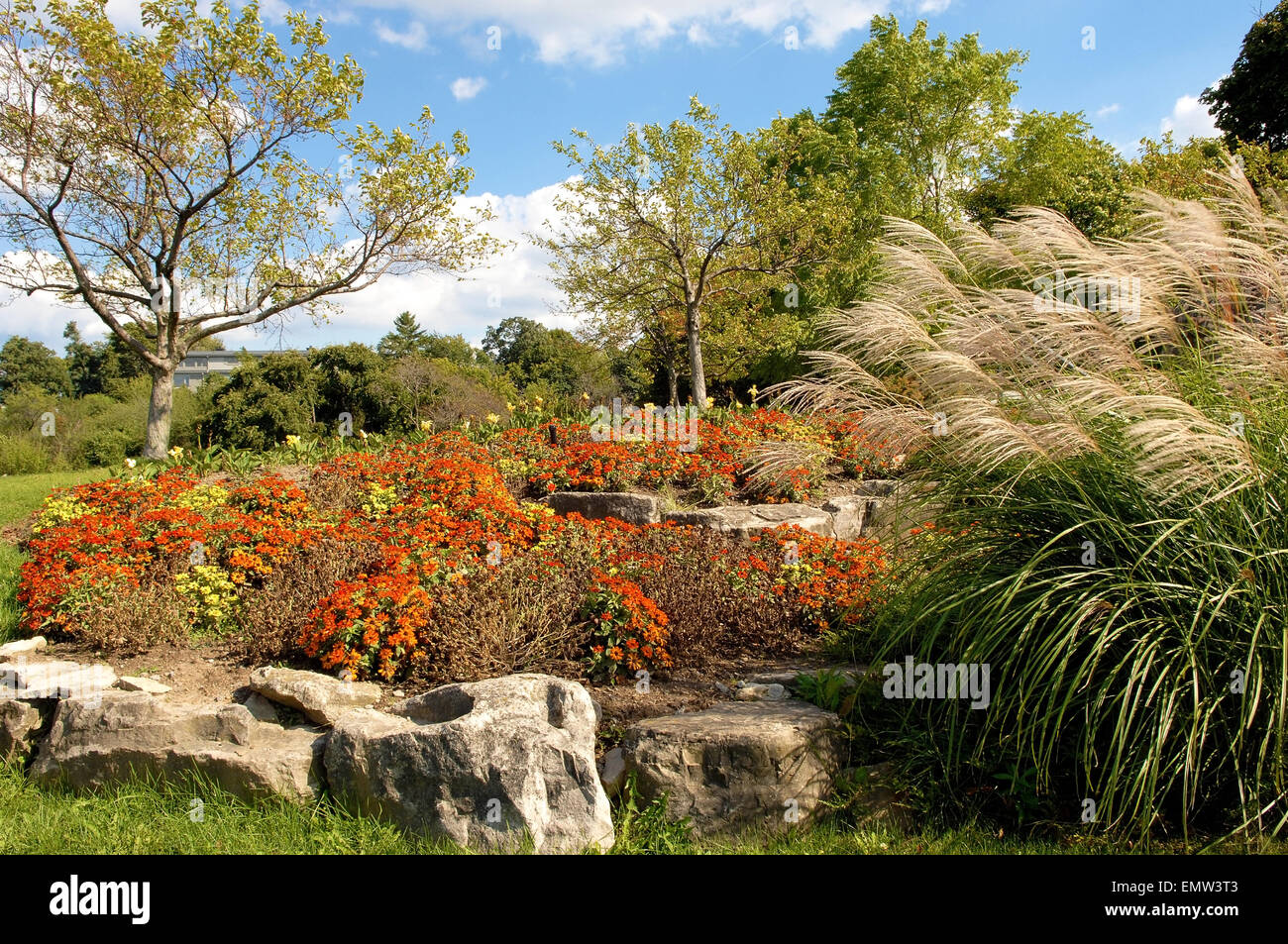 Beautiful early summer scenery hi-res stock photography and images - Alamy