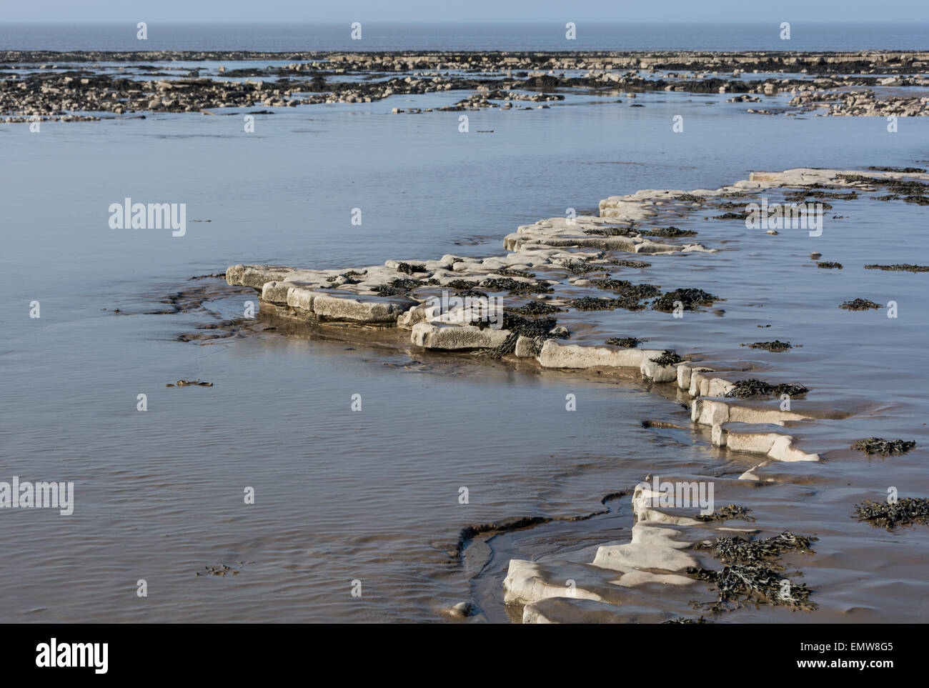 Layers of sedimentary rocks make interesting patterns on the beach and ...