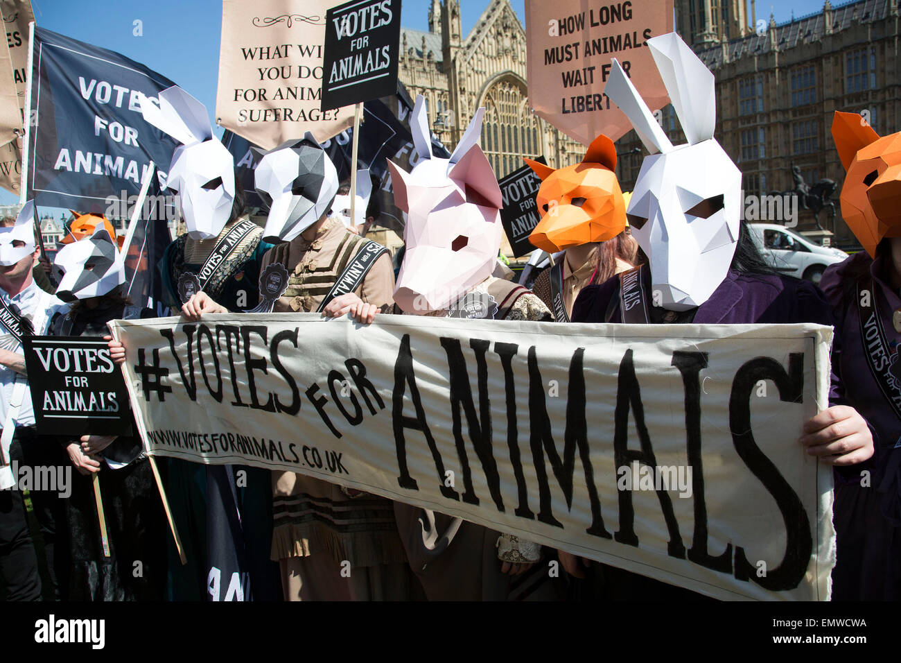 Animals welfare hi-res stock photography and images - Alamy