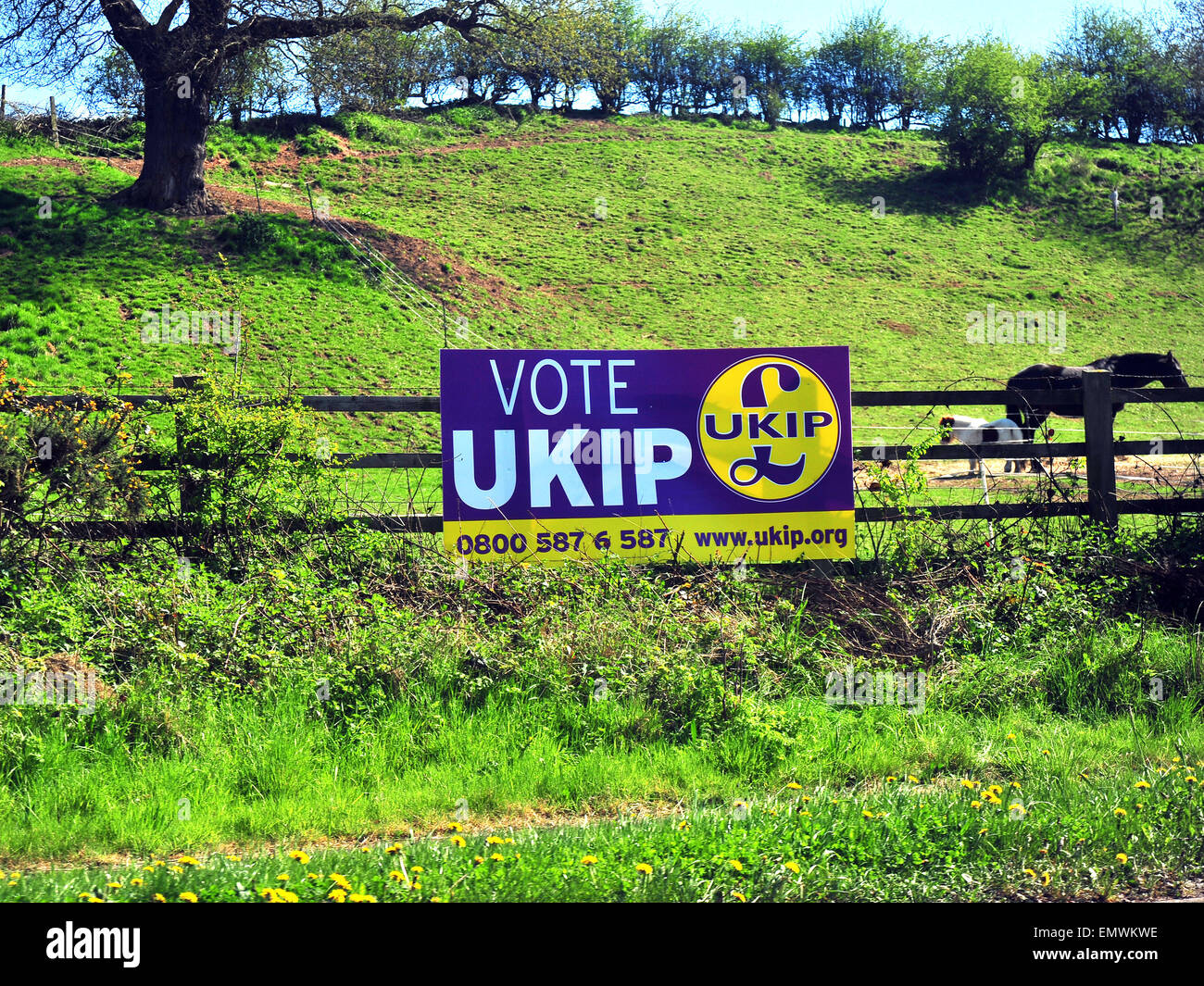 Ukip Campaign Poster High Resolution Stock Photography and Images - Alamy