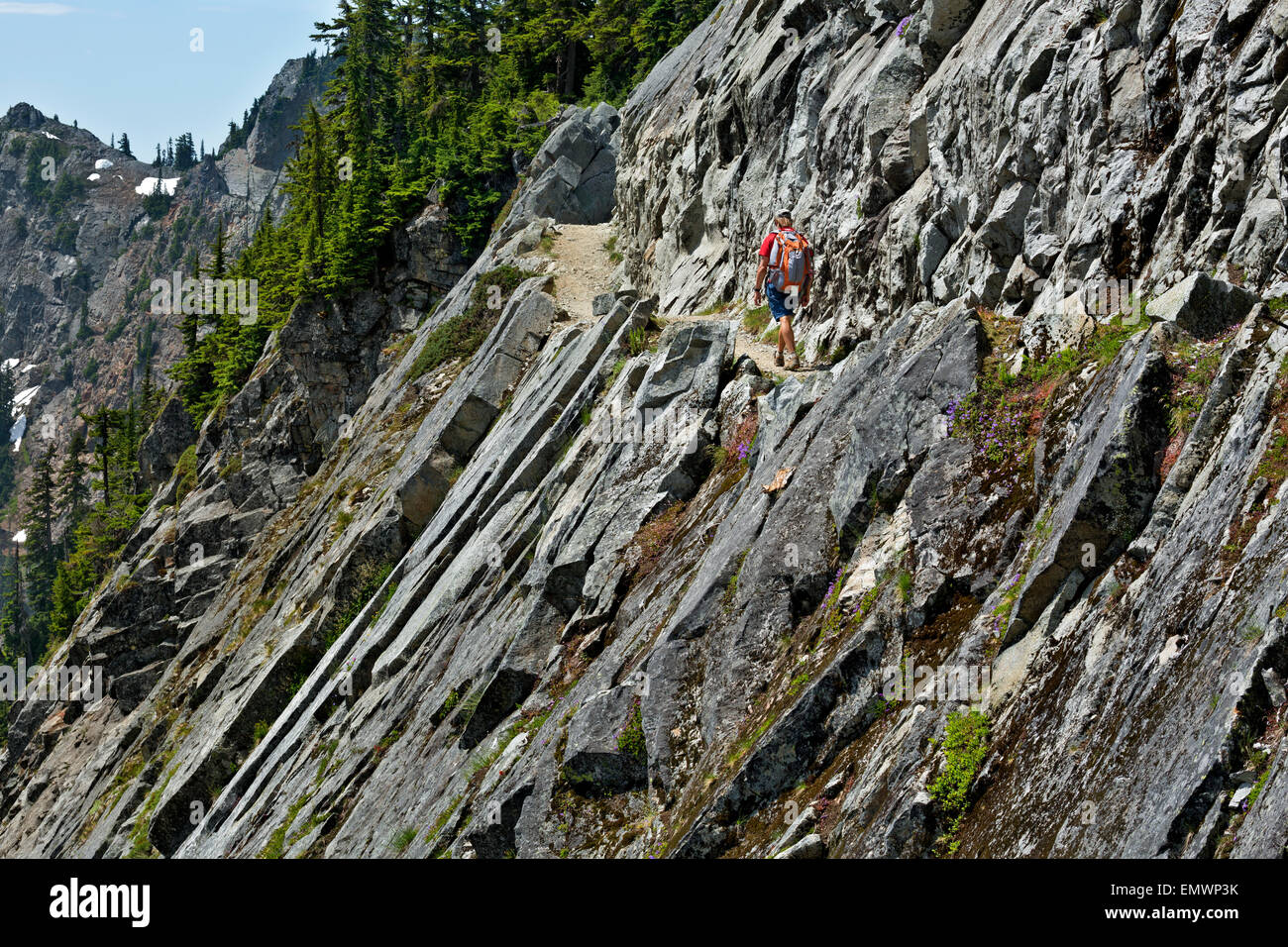 WASHINGTON - Hiker on Pacific Crest Trail north of Snoqualmie Pass ...