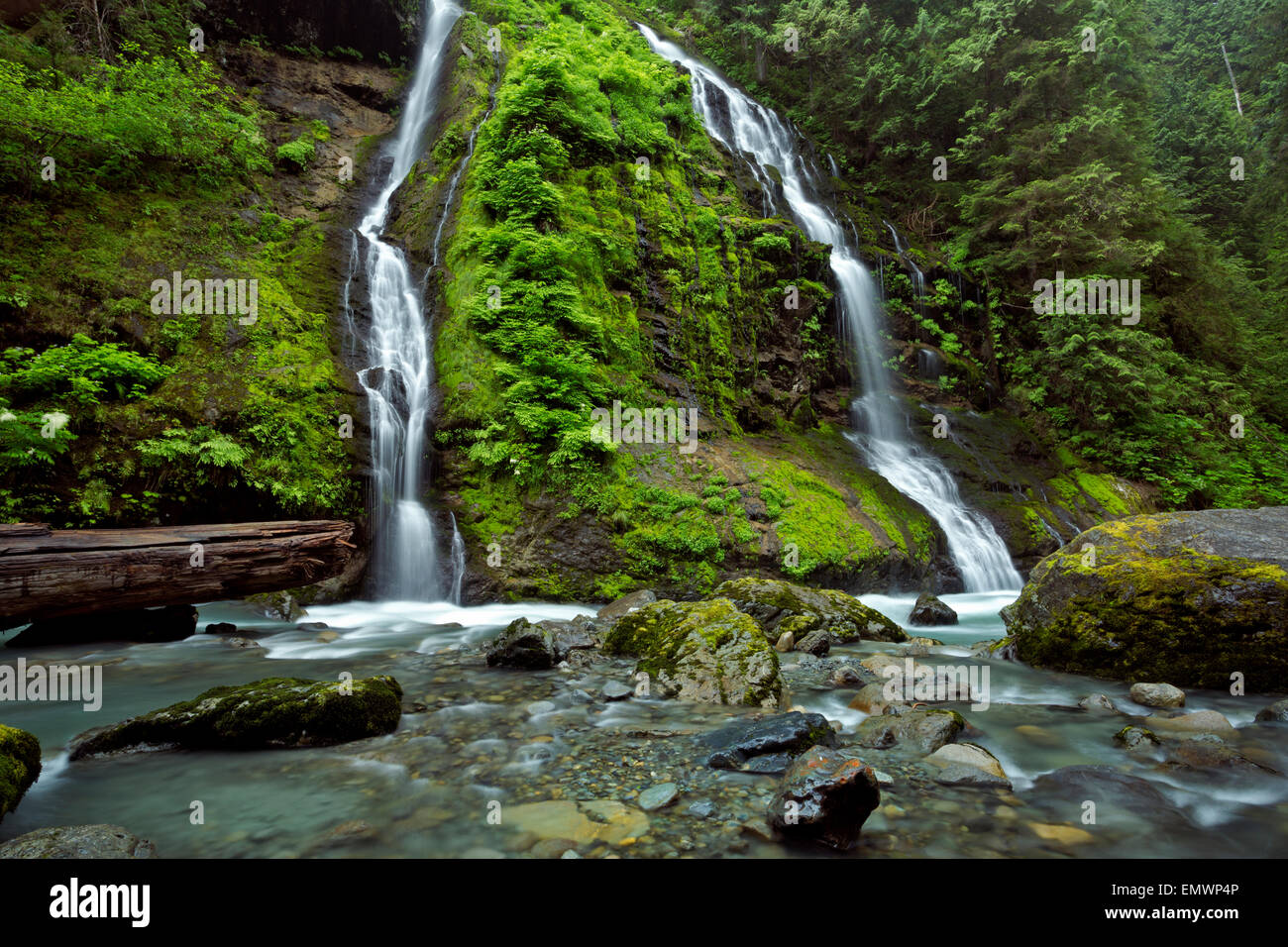 Boulder fern hi-res stock photography and images - Alamy