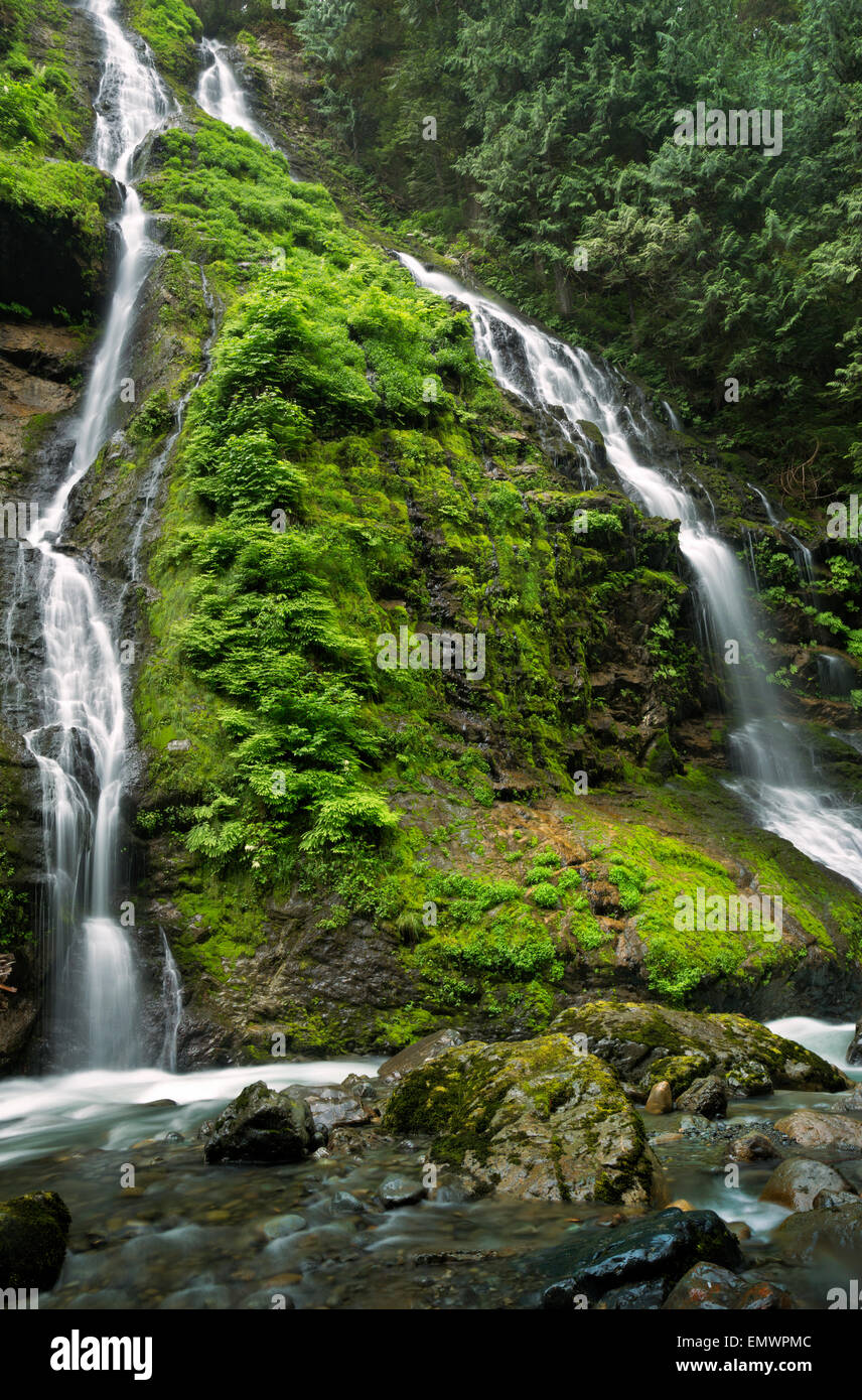 WASHINGTON - Waterfall along the Boulder River Trail in Boulder River ...