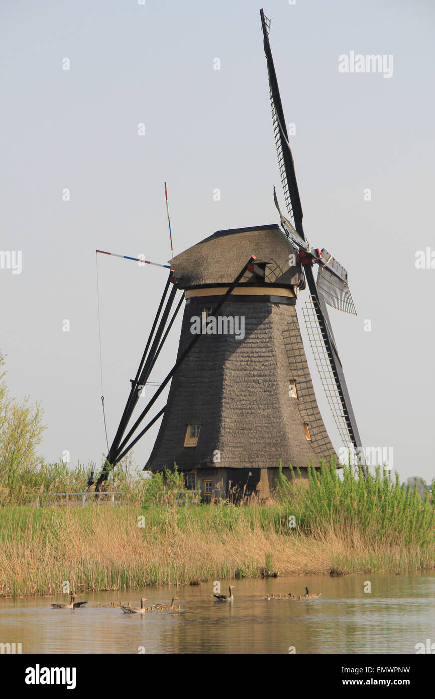 The Dutch windmill. Dutch countryside landscape with the windmill on ...