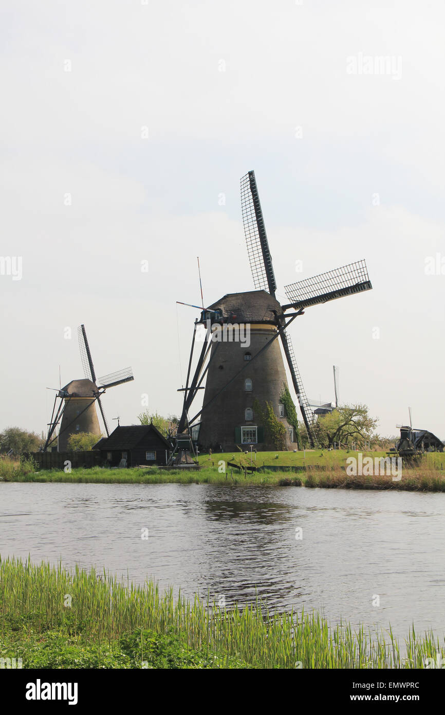 Windmills on the canal bank. Typical Dutch rural landscape in the ...