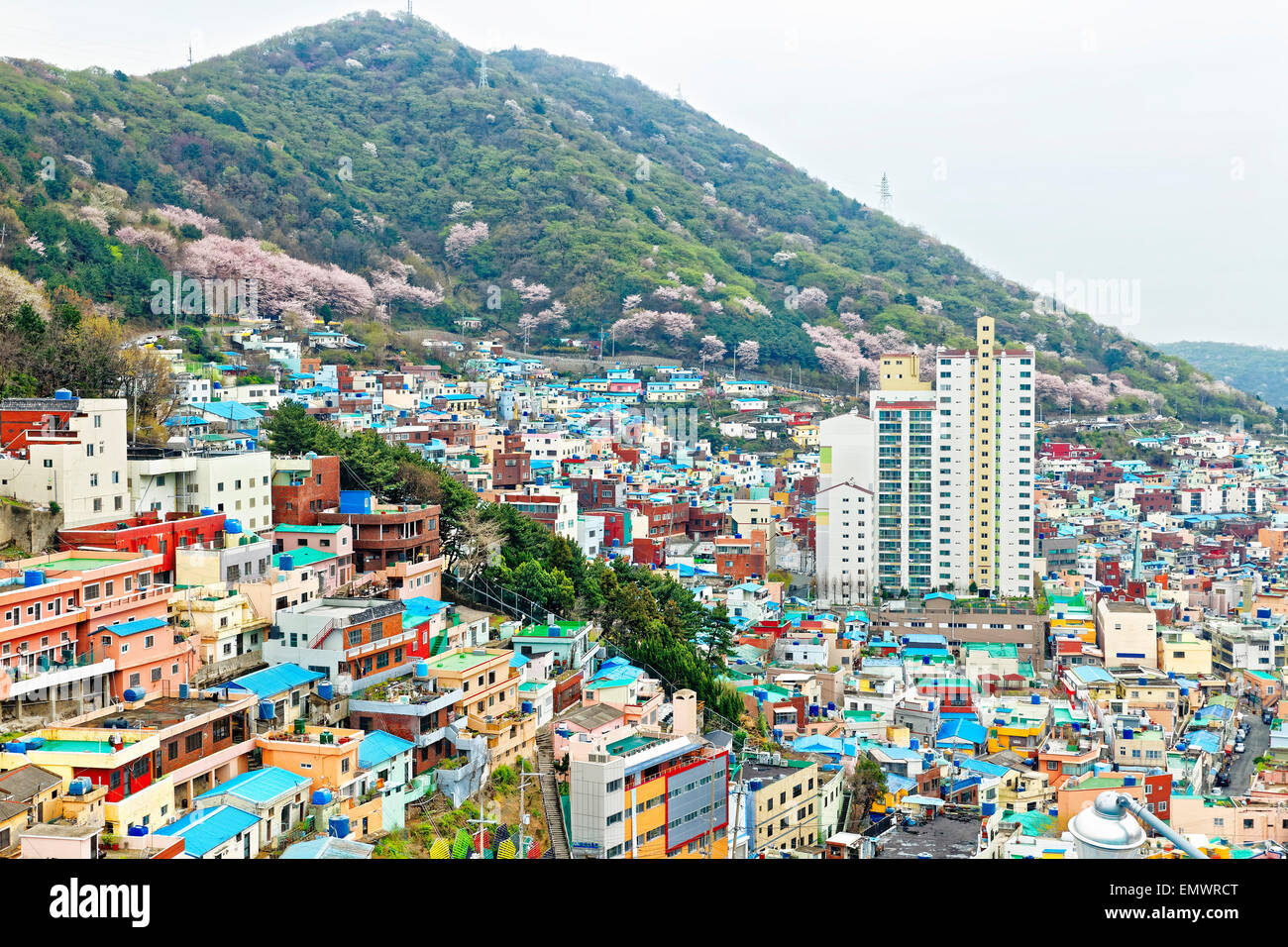 Gamcheon Culture Village, Busan, South Korea Stock Photo - Alamy