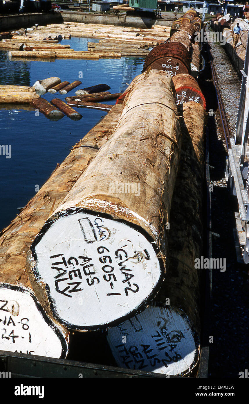 1960s, Ghana, Takoradi harbour, large hardwood logs or timber sitting ...
