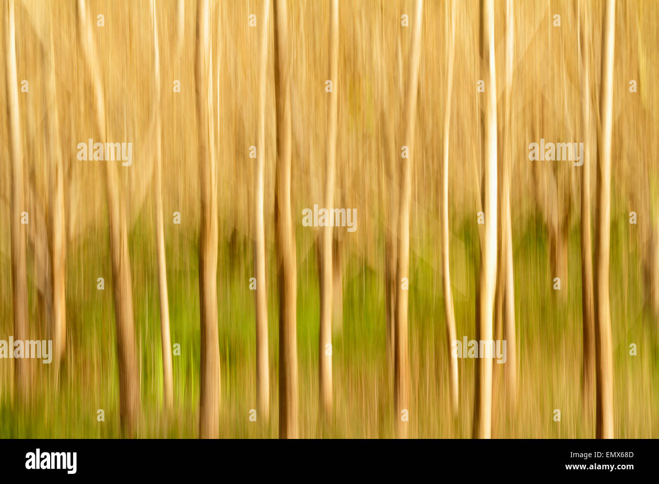 Creative nature photography Stock Photo - Alamy