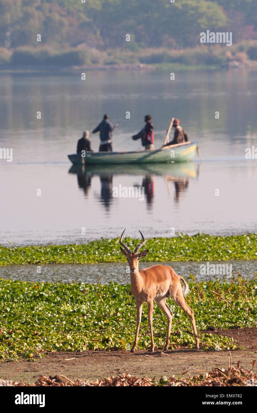 Lake chivero national park hi-res stock photography and images - Alamy