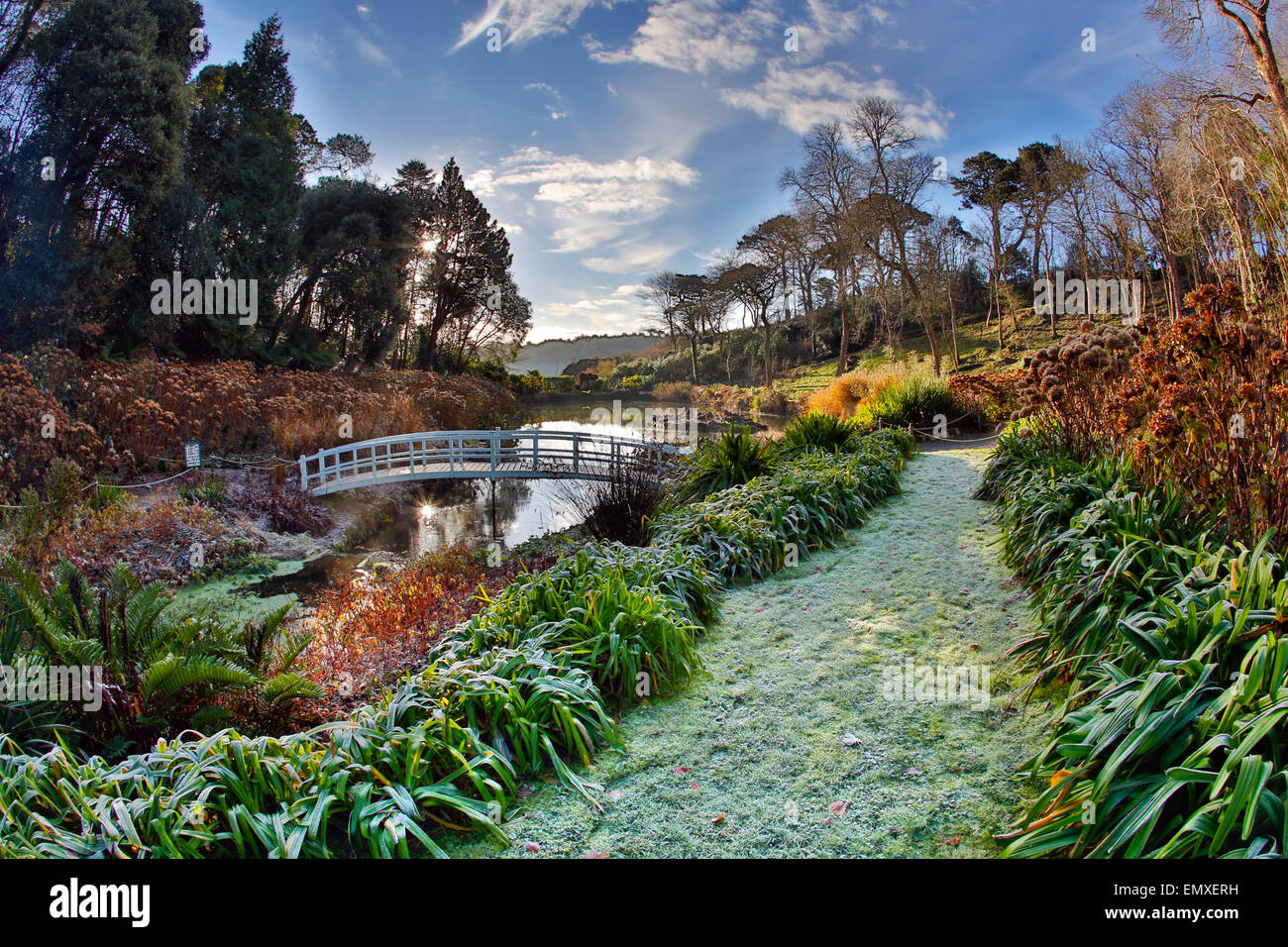Cornwall england uk garden hi-res stock photography and images - Alamy