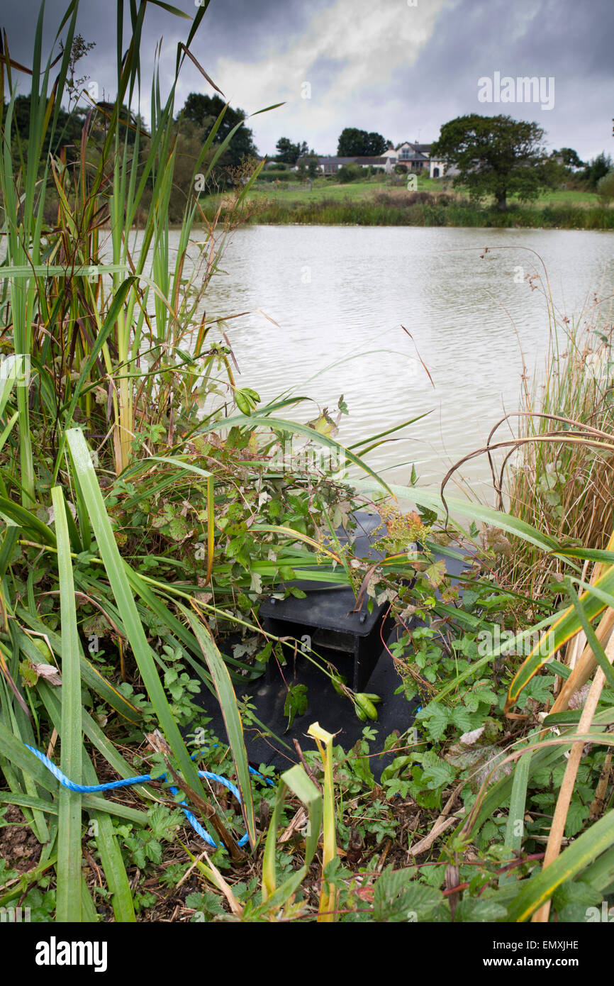 Mink Raft To Check for Mink in Area where Water voles Have Been ...