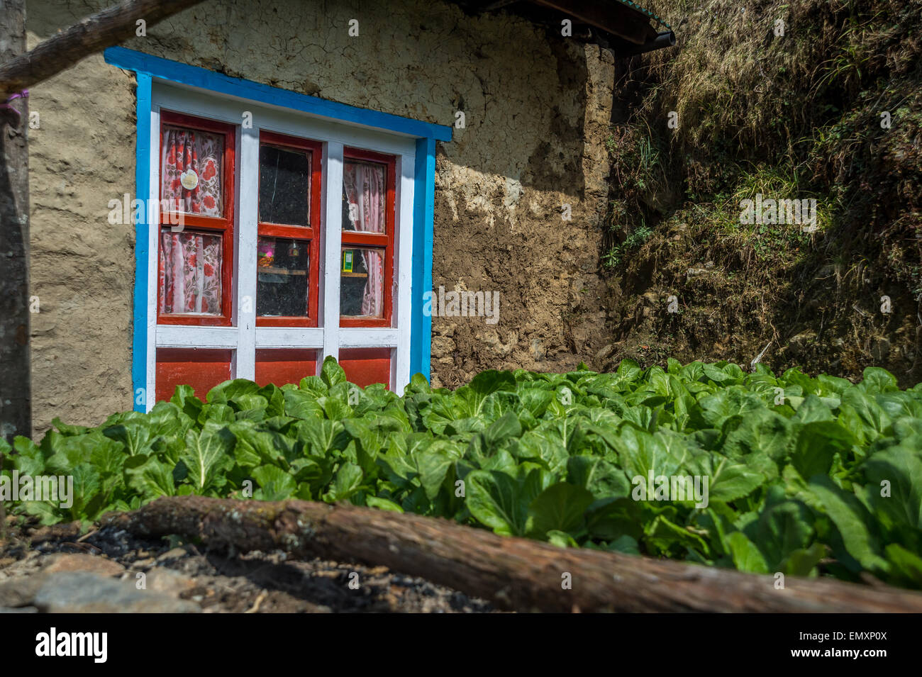 Nepali window hi-res stock photography and images - Alamy