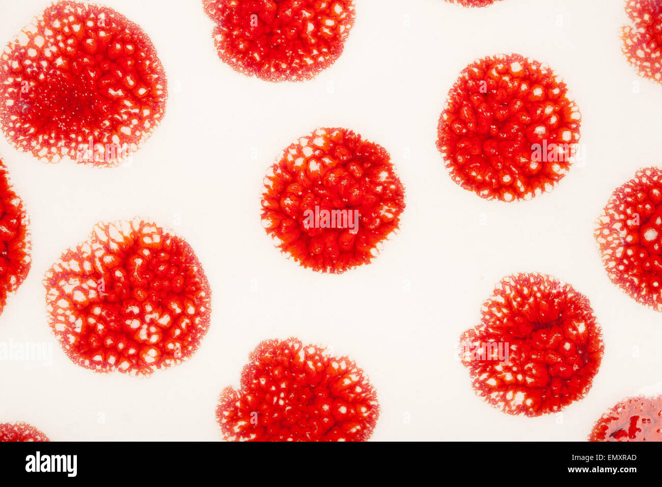 Glazed clay hi-res stock photography and images - Alamy