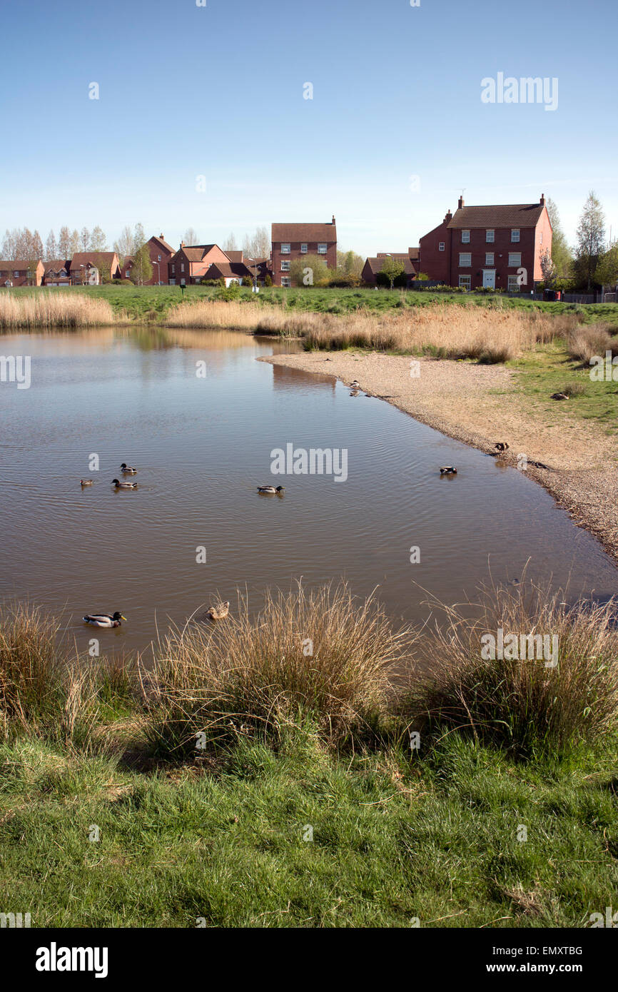 Gog Brook Farm pool, Chase Meadow, Warwick, Warwickshire, England, UK ...
