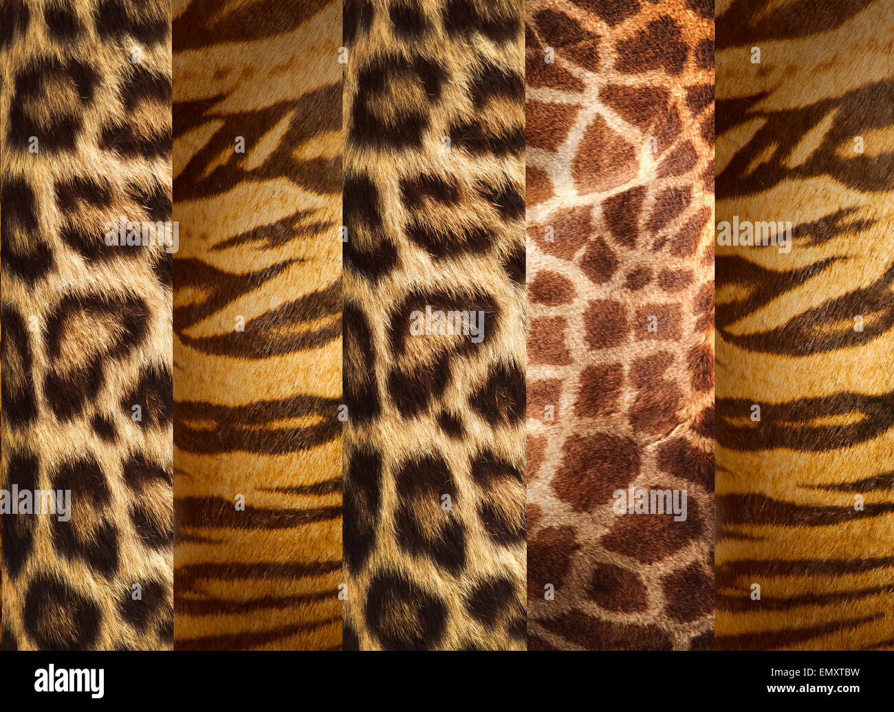 Texture of animal skins ,leopard,tiger and giraffe Stock Photo - Alamy