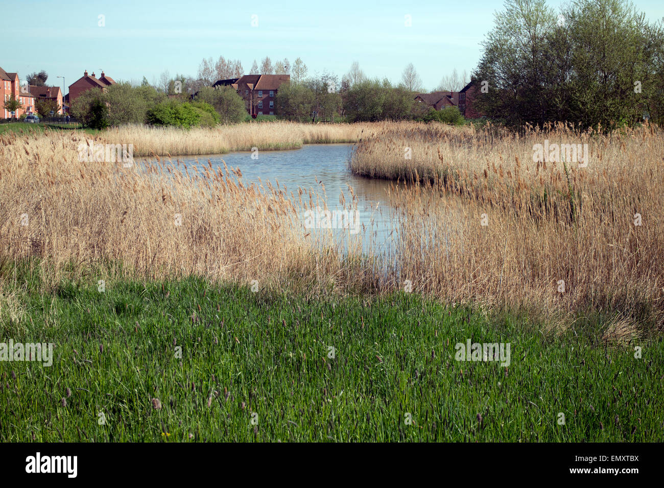 Gog brook farm hi-res stock photography and images - Alamy