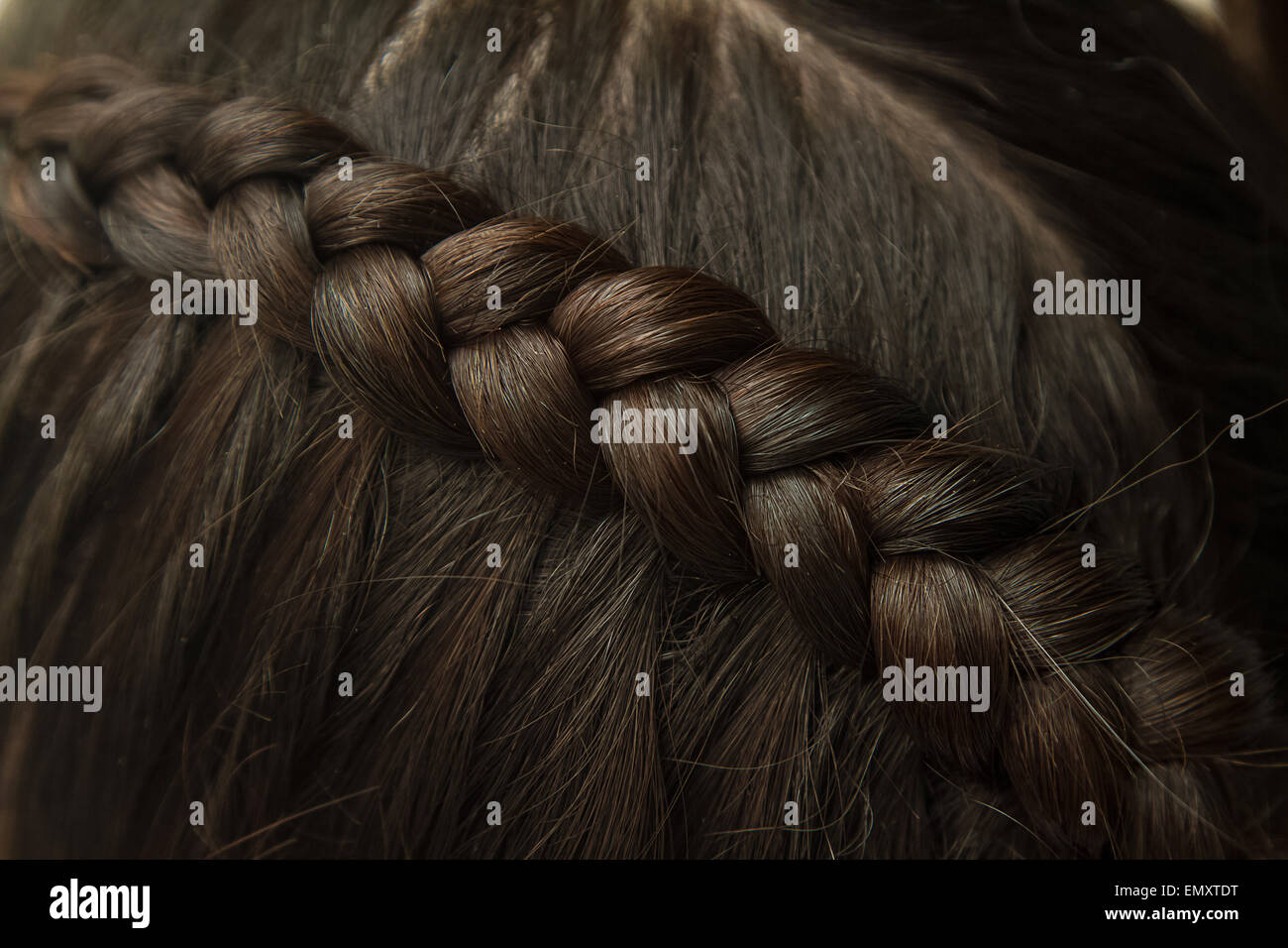 Braid Hairstyle. black Long Hair close up Stock Photo - Alamy