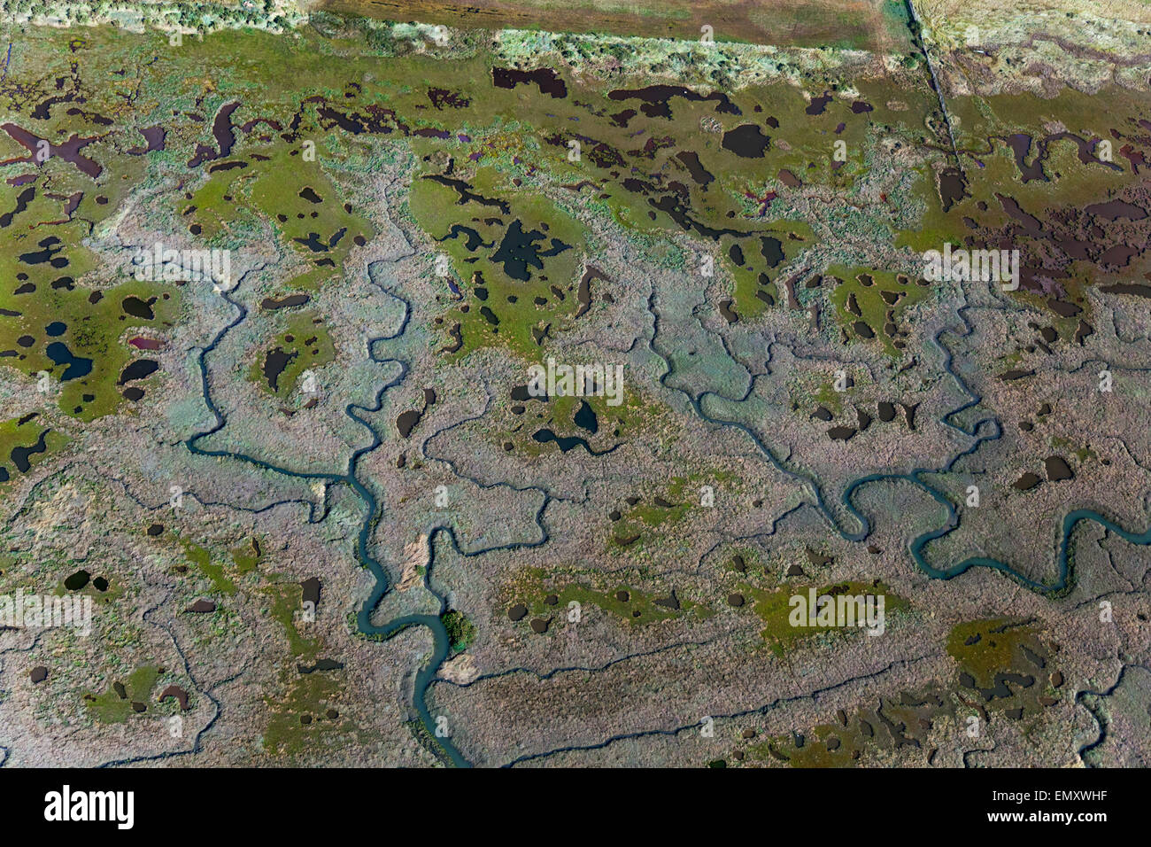 Patterns in the salt marshes at Burnham Overy Norfolk from the air ...